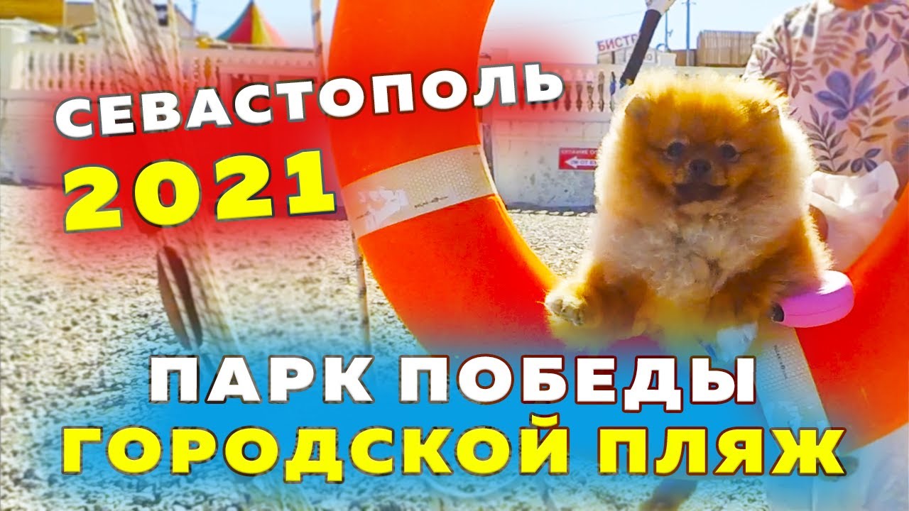 Шпиц Николь знакомится с Севастополем. Парк Победы. Красивый фонтан. Городской пляж 2021