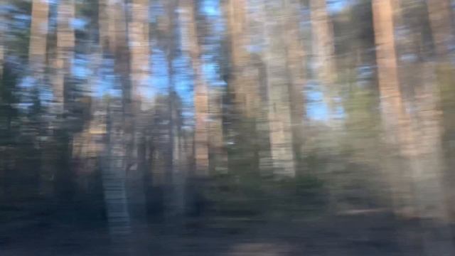 Мы едем в Чебоксары