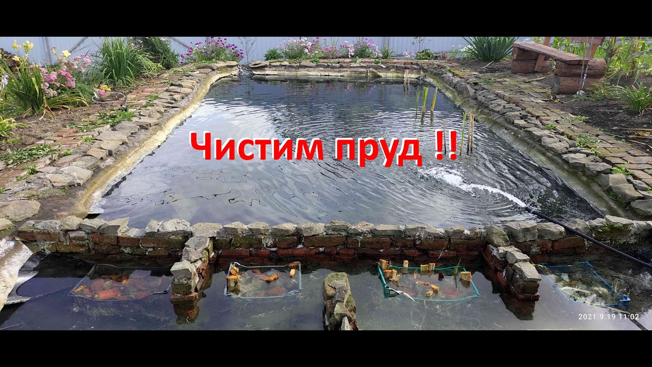 Чищу пруд перед зимой