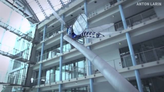 20 САМЫХ КРУТЫХ Роботов, От Которых Ты Офигеешь