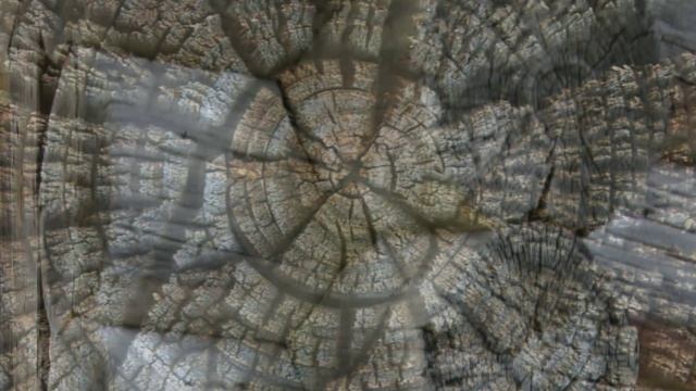 Музей "Семёнково"