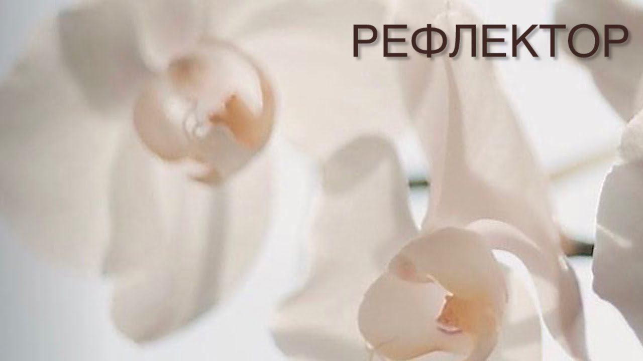 Рефлектор 1% всех людей