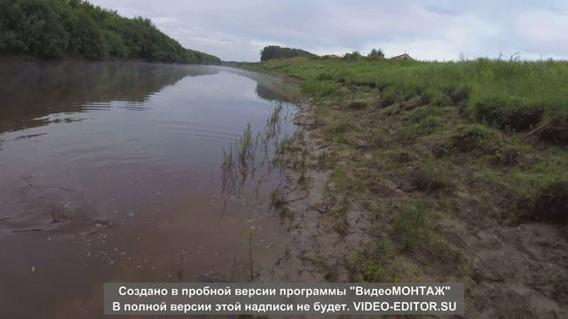 Ловля щуки и окуня в конце июля.