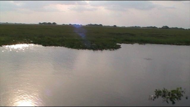 Lens: Лос-Льянос/Los Lianos, ч. 3, Венесуэла