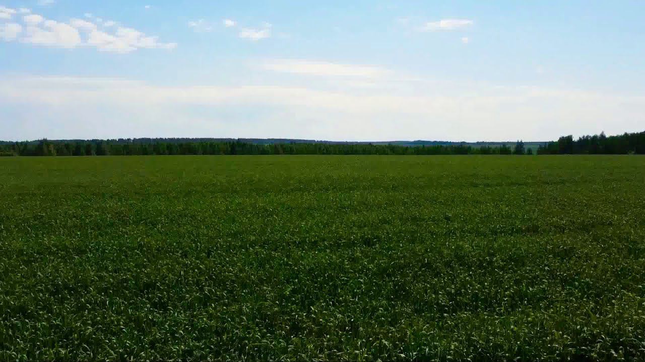 Владимирская шахта.