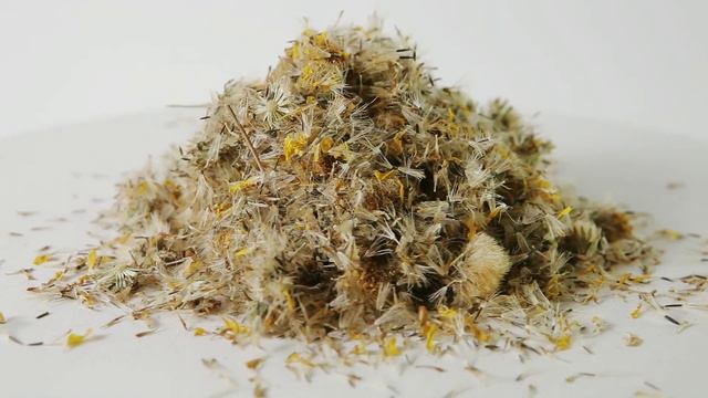 Арника горная.mp4