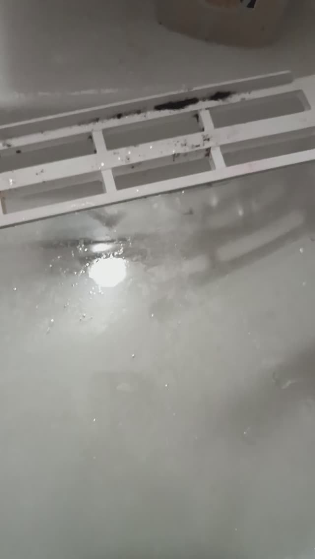 А как давно вы мыли свой холодильник?