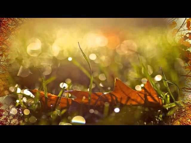 Видео открытка - Осень золотая !!!