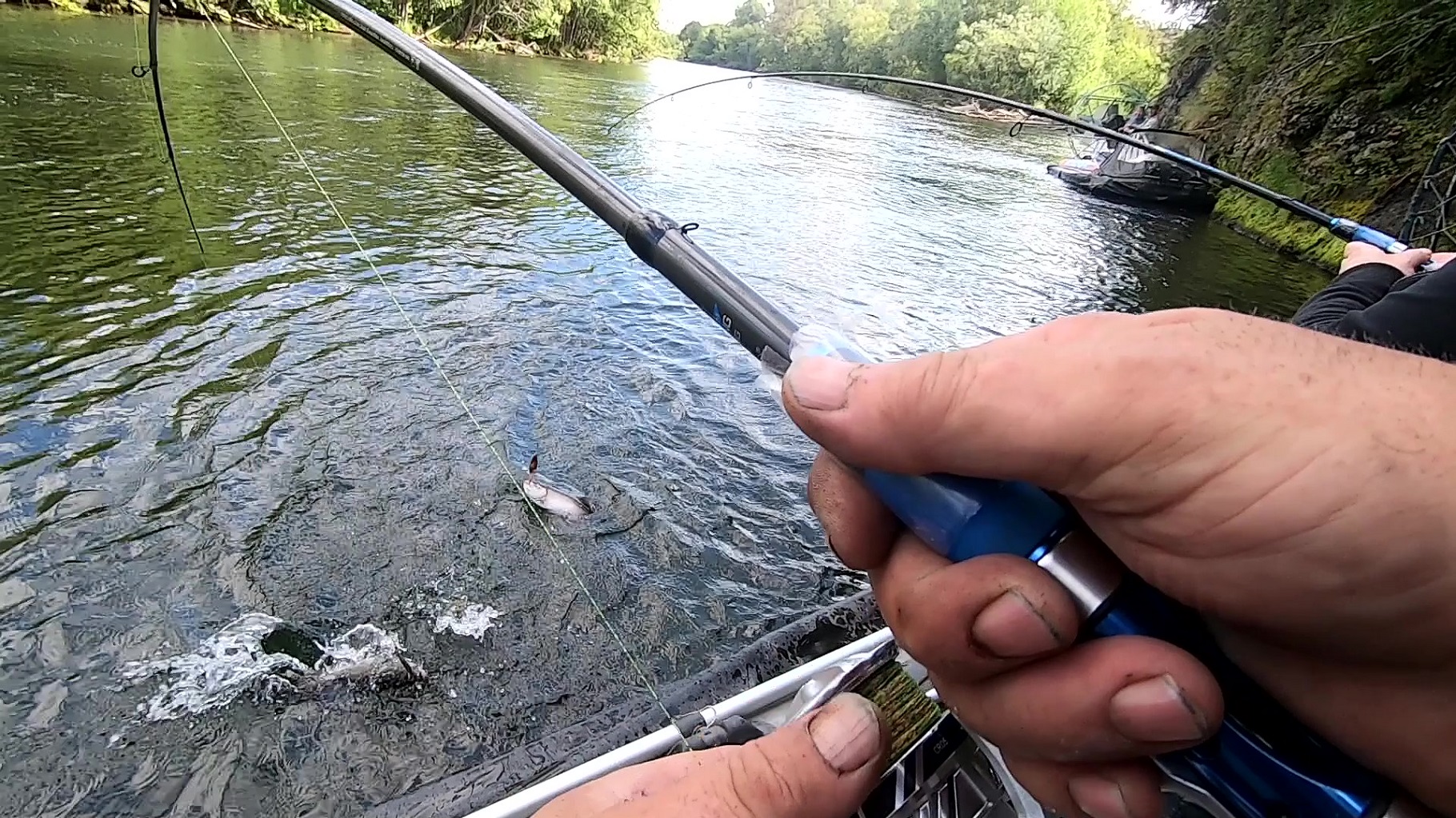 Клевая рыбалка получилась! Камчатка. Часть III.