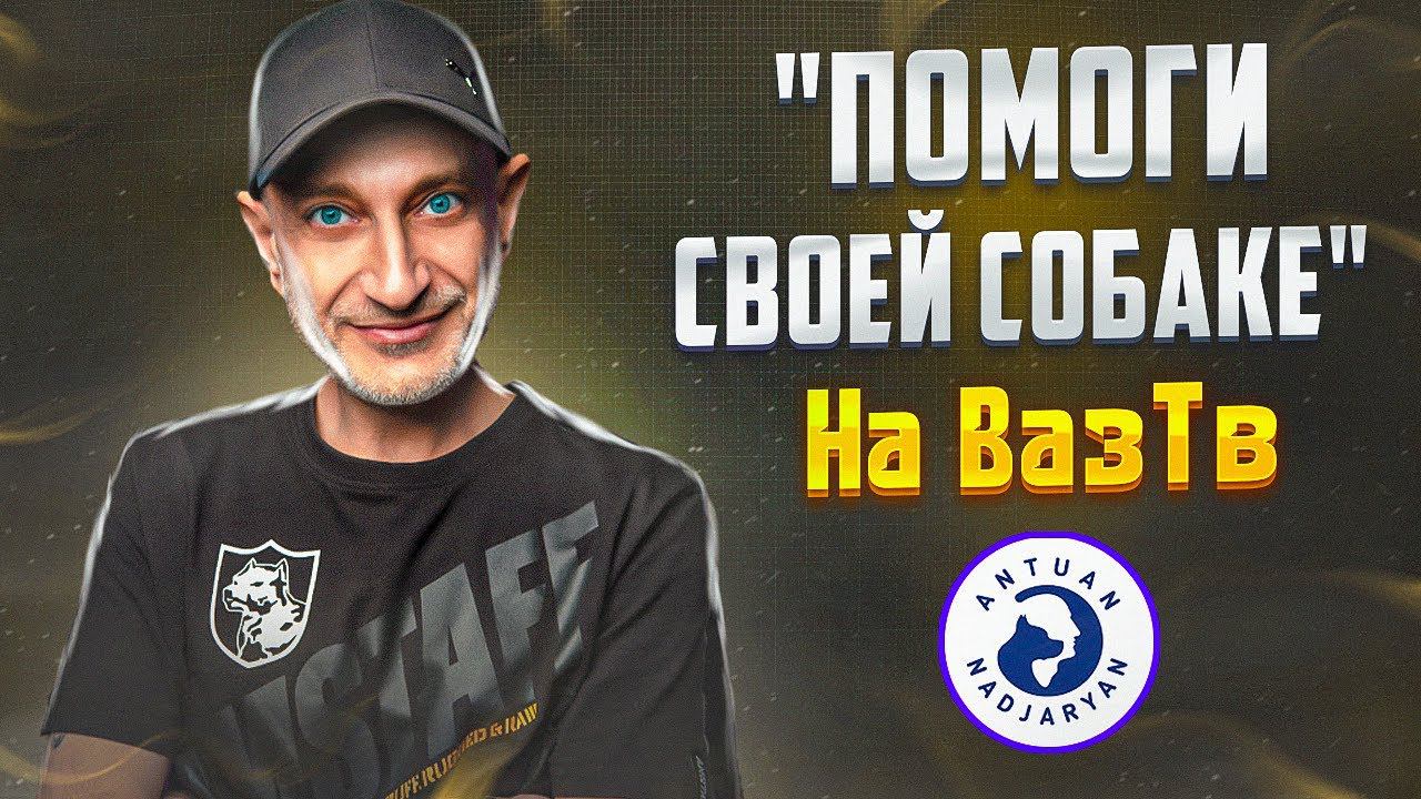 Рубрика "Помоги своей собаке"