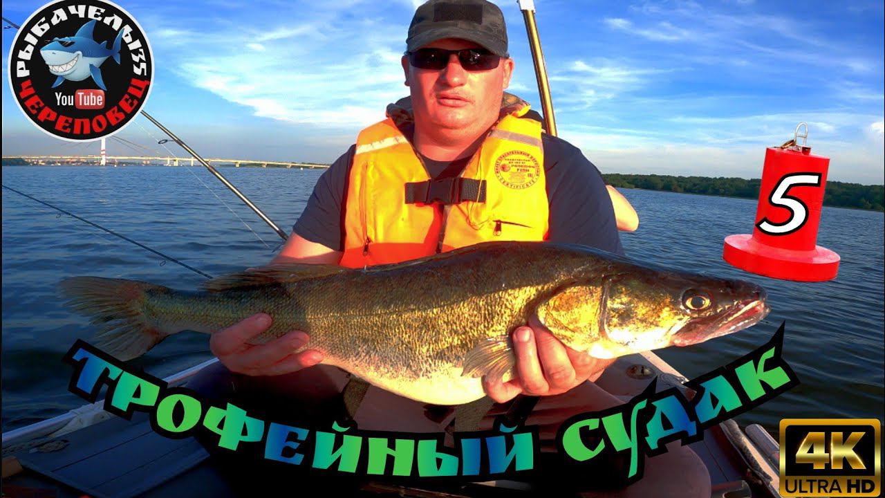 5-ый выпуск !!!Судак на троллинг в 4"К" на р.Шексна в Июле !!!ТРОФЕЙНЫЙ СУДАК!!!НОВЫЙ МОСТ НОЧЬЮ