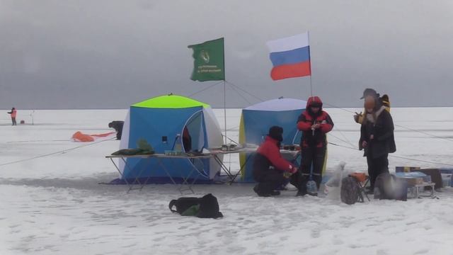 Кубок Щербаковых 2021