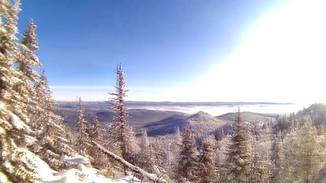 Mushroomskillazz вылазка Малиновая гора 3-я вершина