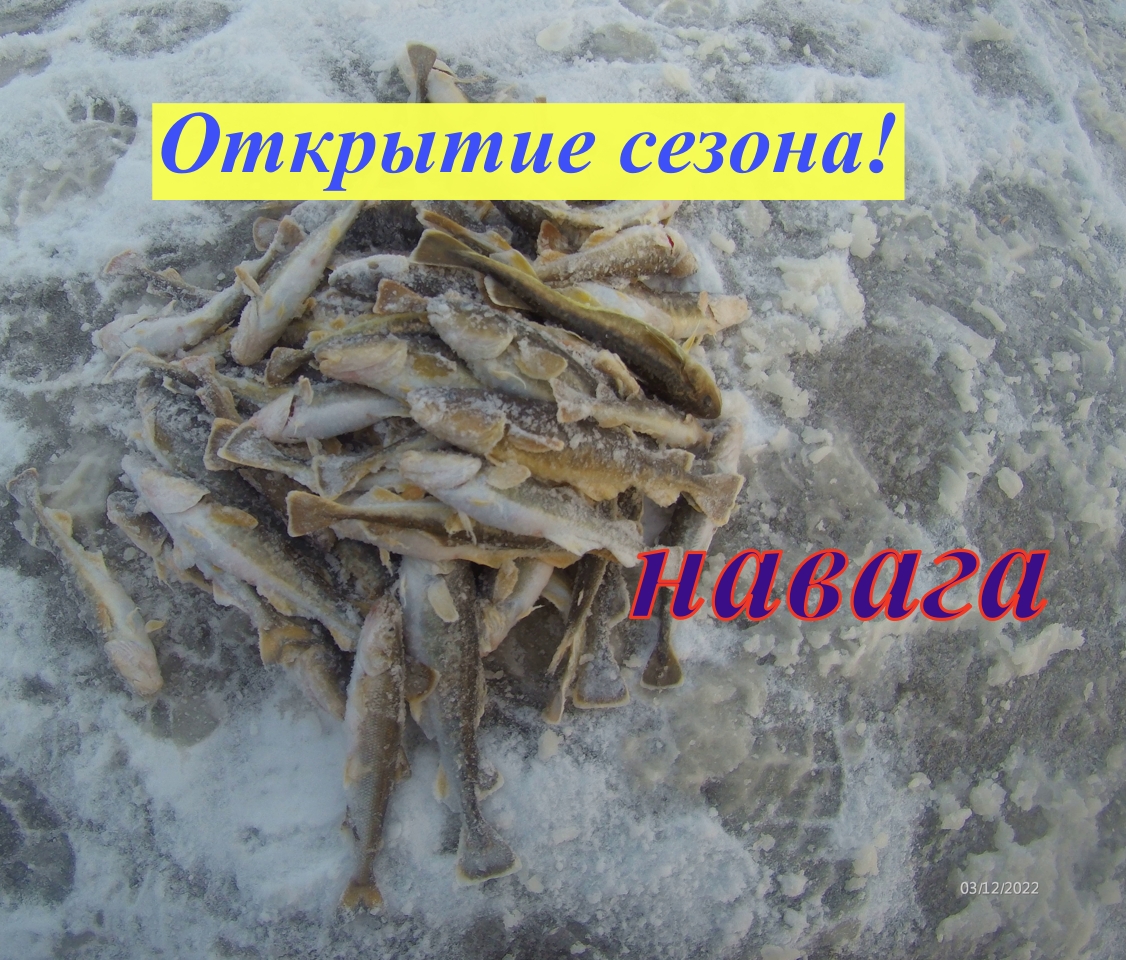 ОТКРЫТИЕ СЕЗОНА/НАВАГА