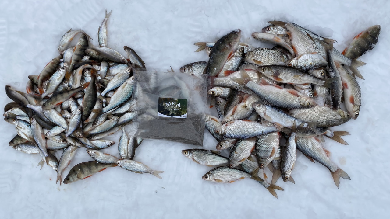 СУПЕР ПРИКОРМКА ДЛЯ РЫБАЛКИ МКА.mp4