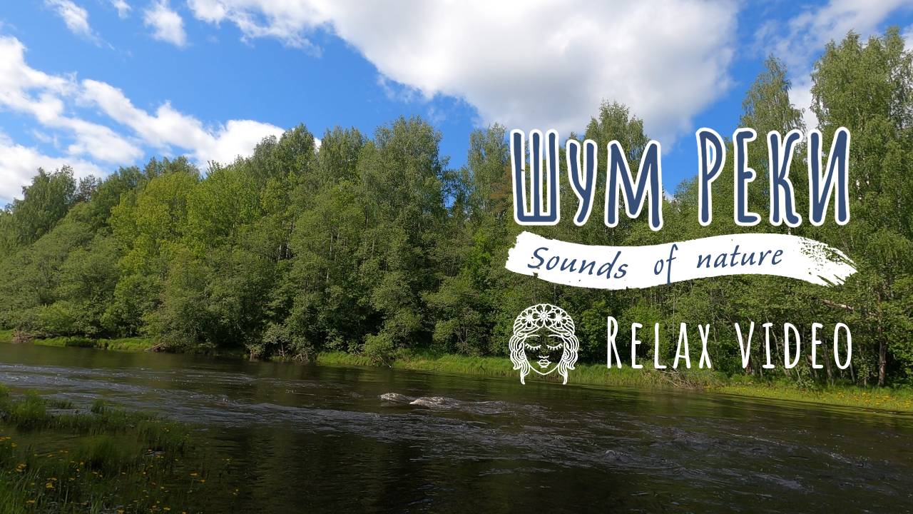 Река Шуя 🌊 Релакс в сердце Карелии 🌿 Звуки природы