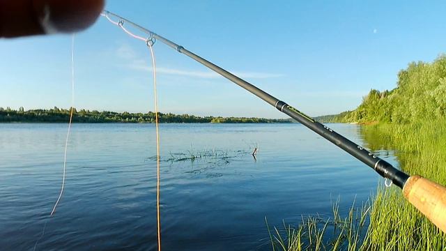 Нахлыст в городе. голавль. рыбалка