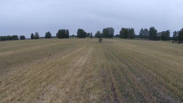 Джумбай аул в Щербакульском районе Омской области_Jumbai aul in the Omsk region