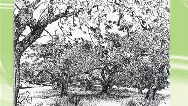 История улиц старого Лукоянова