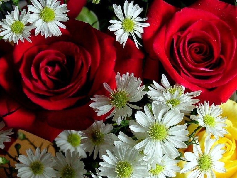 Сказала Роза скромненькой Ромашке. Автор текста Татьяна Лаврова -Волгоград. Современная поэзия.