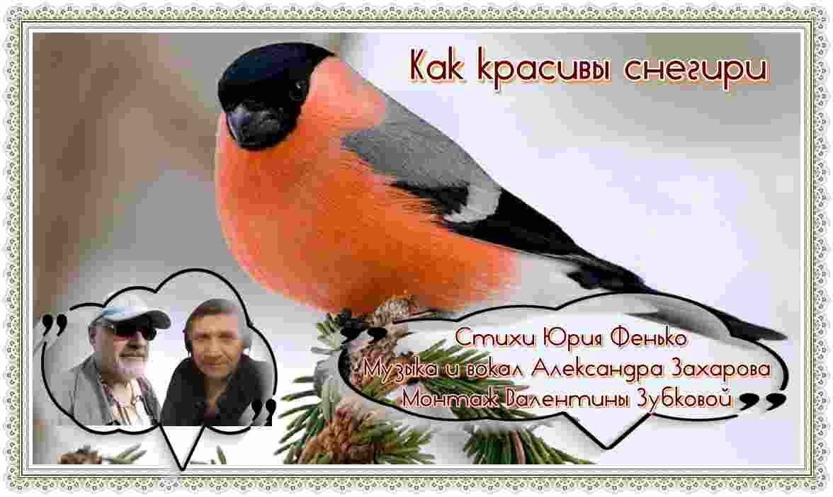 КАК КРАСИВЫ СНЕГИРИ