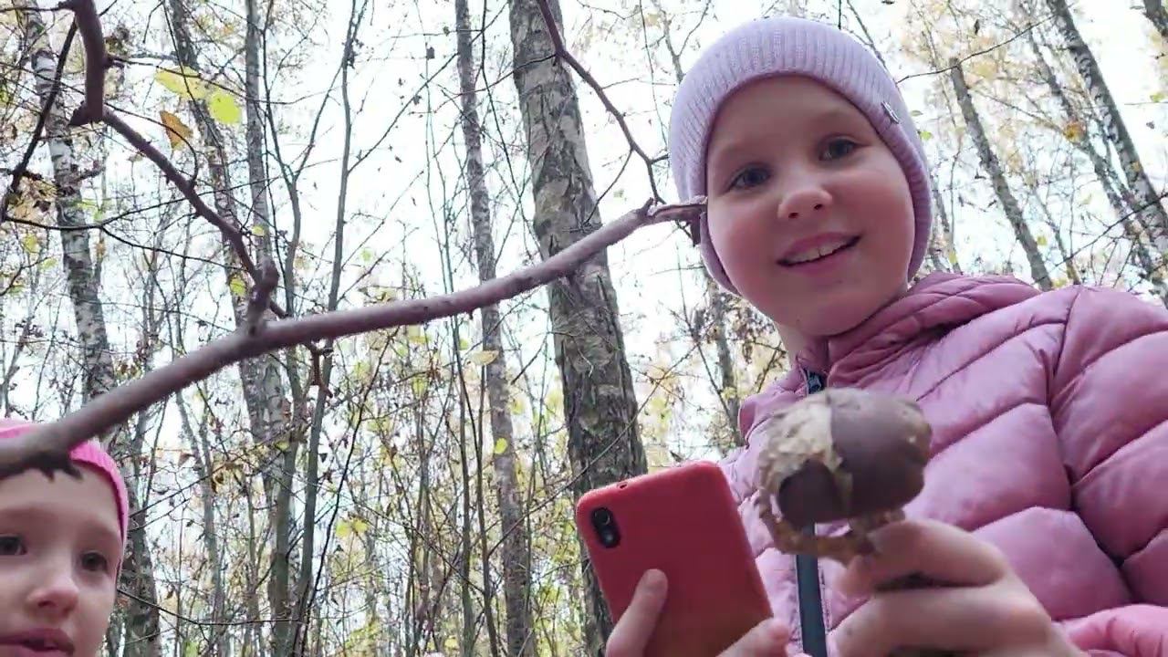 Грибы в Октябре.