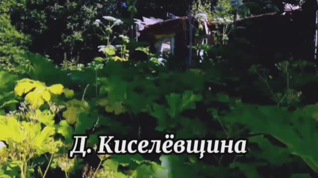 Деревня Киселёвщина (Киселёвы).mp4