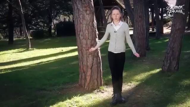 Артек 2015. Ученики артековской школы читают классику. Анастасия Голик..mp4