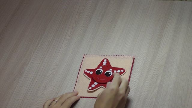 Фетровые книги