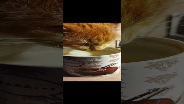 Мномномномном
