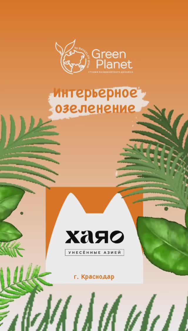 Интерьерное озеленение ресторана "ХАЯО" г. Краснодар.