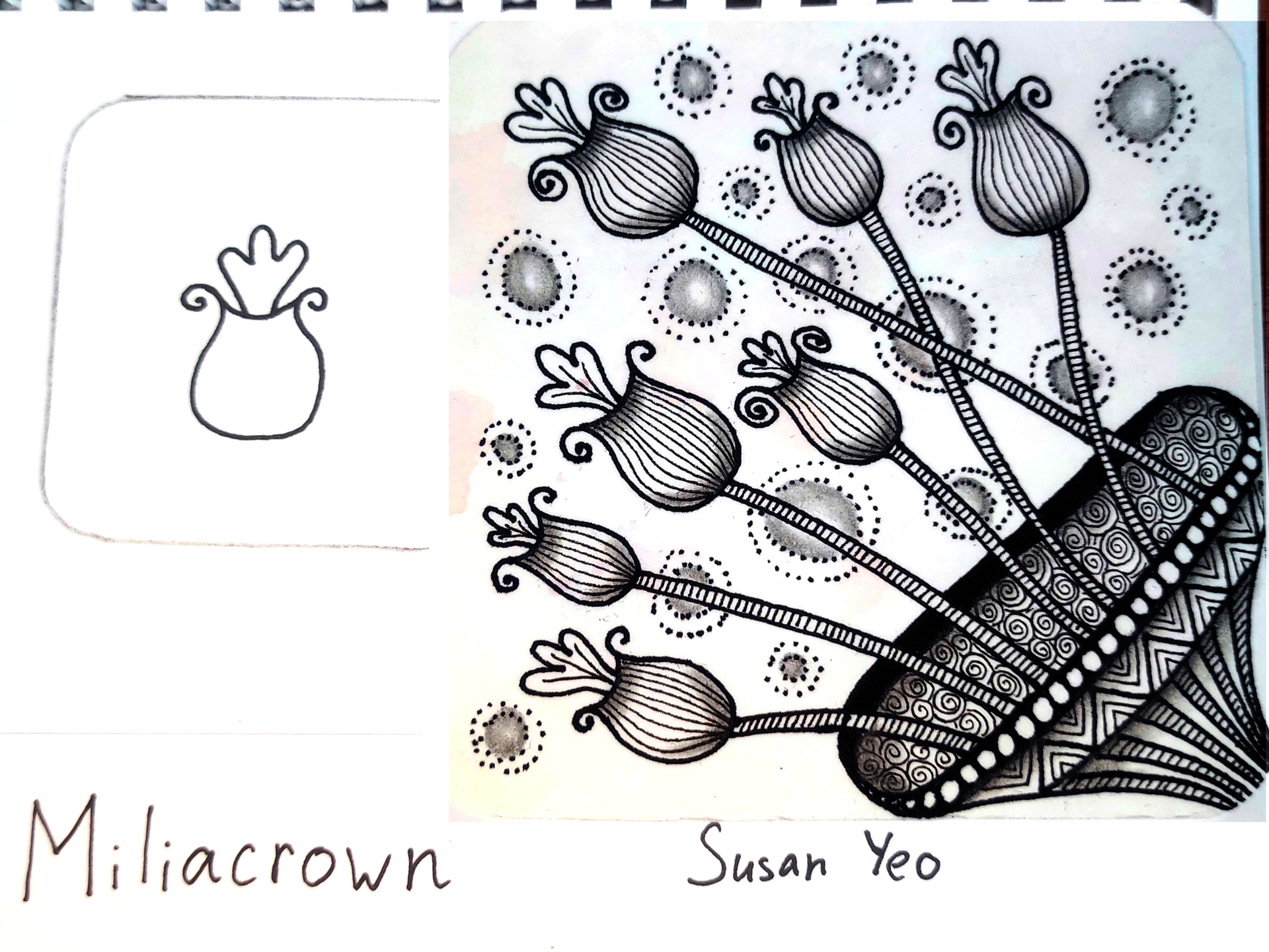 Зентангл Тангл Miliacrown