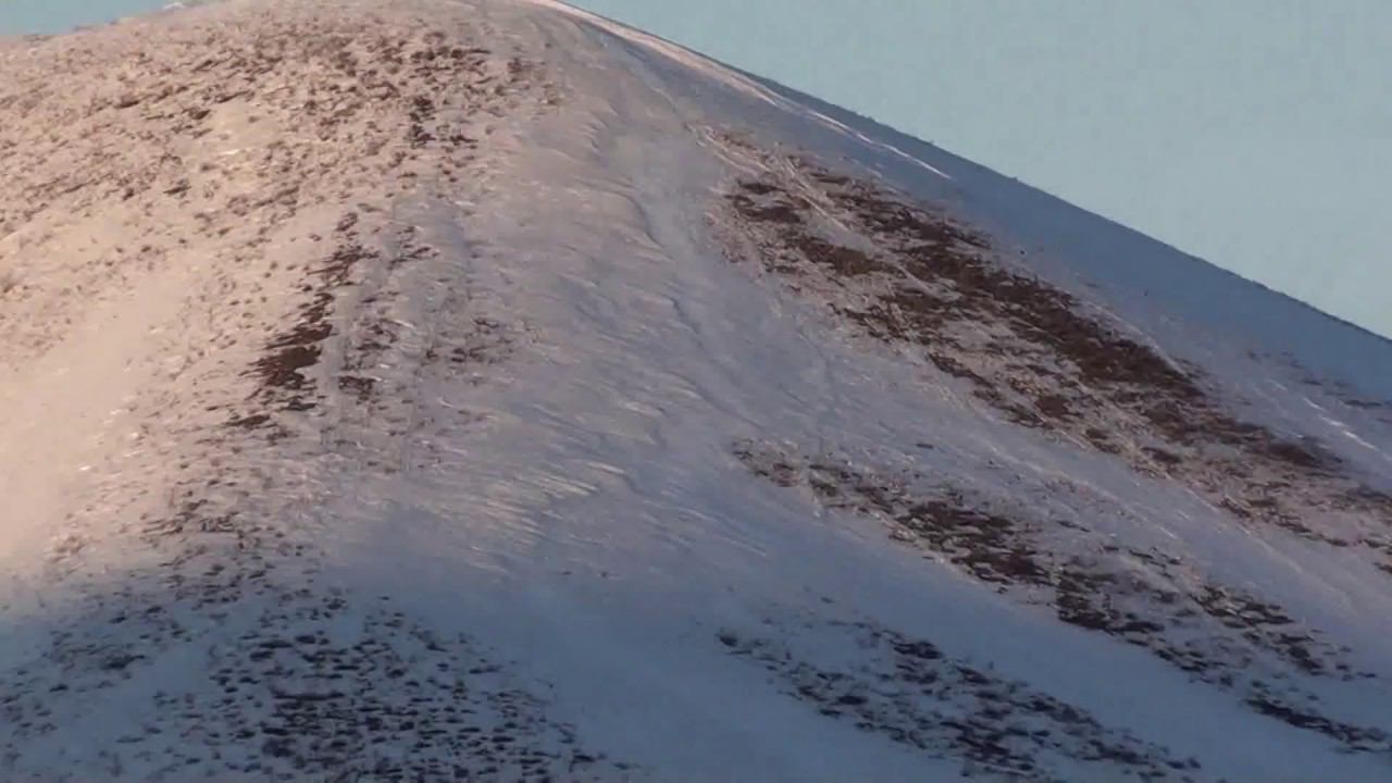 КУВА, ГЛЦ, правильное 8 МАРТА.