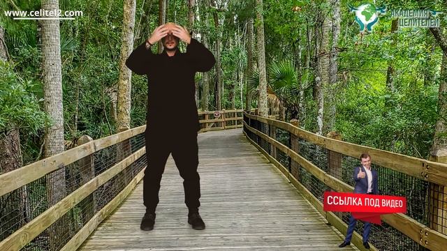 Практика для внутренних органов. Константин Перо. Академия Целителей.mp4