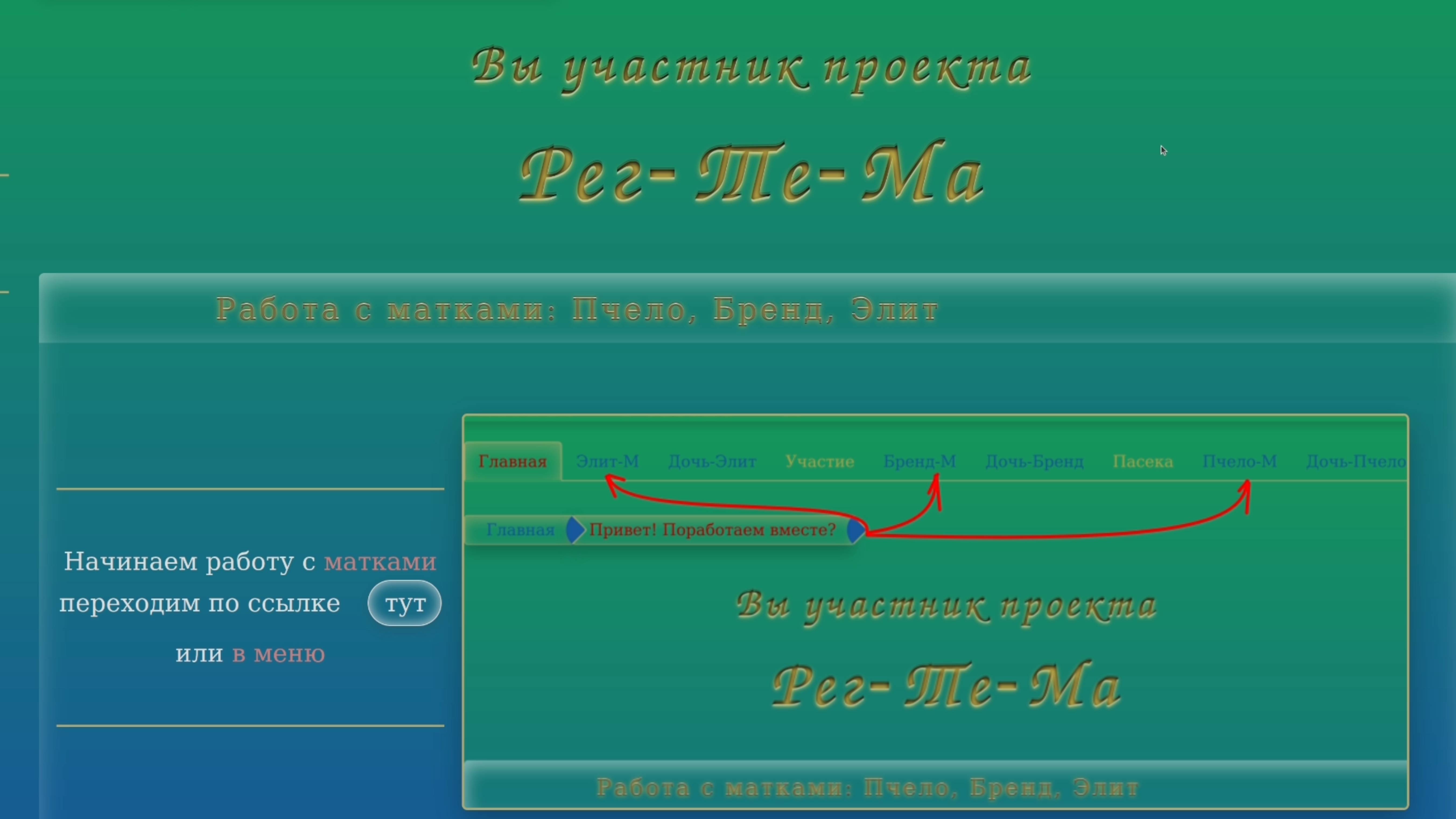Пункты меню для позиции Пчело - Матка