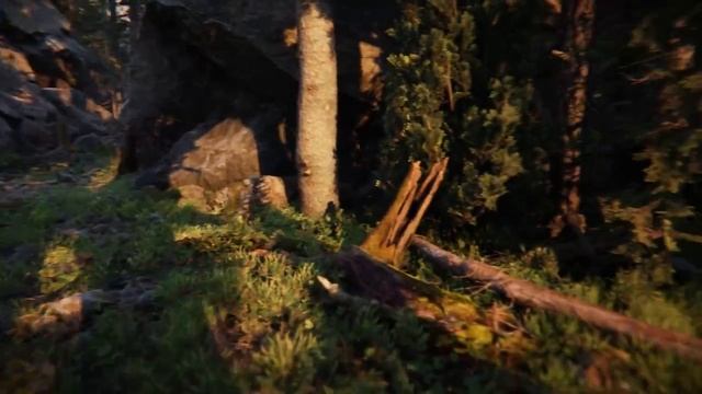 Photorealistic Forest Environment Фотореалистичная лесная среда