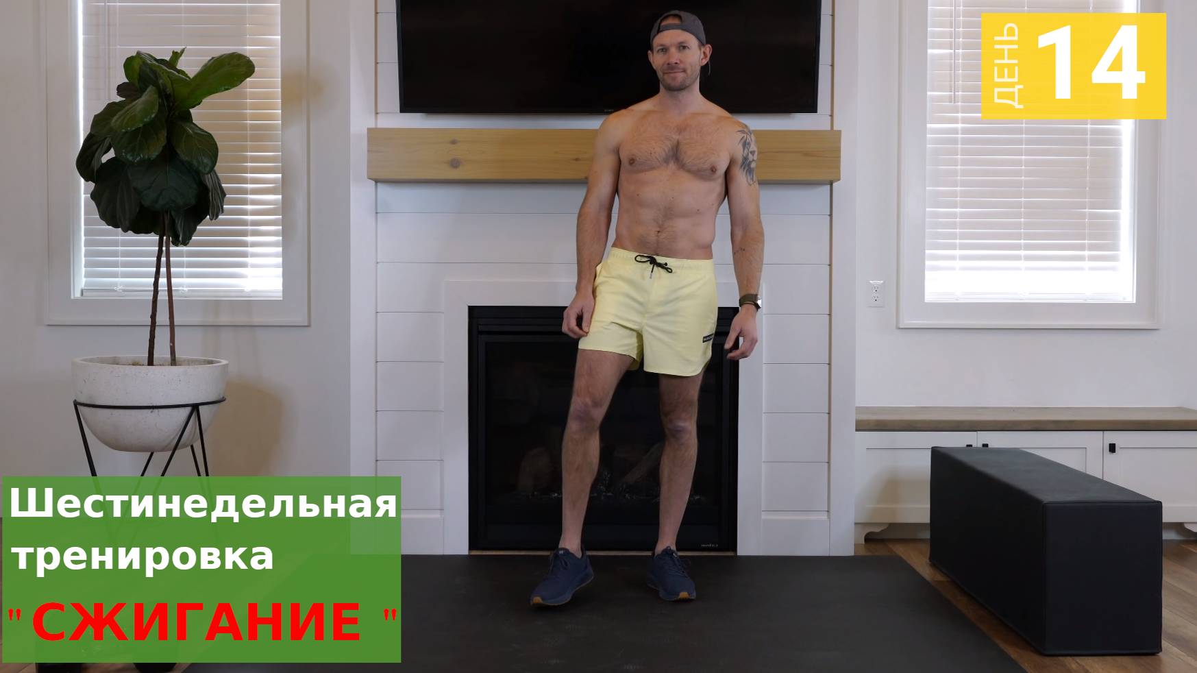 "Сжигание" | День 14: 30-минутная тренировка с гантелями для толкания и тяги грудь и спина