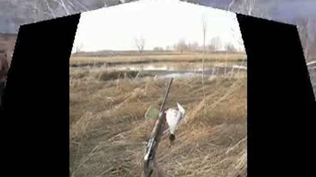 Охота в Томске