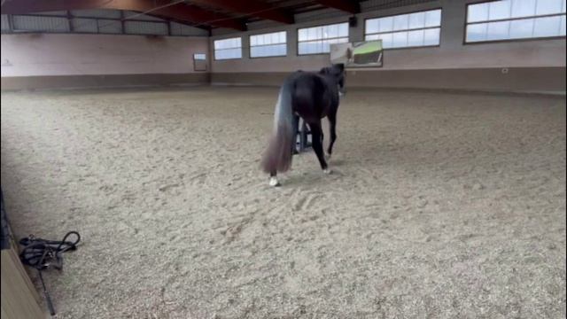 Яркие моменты - выпуск 6