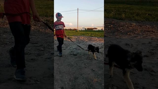 ИРМА НА ПРОГУЛКЕ