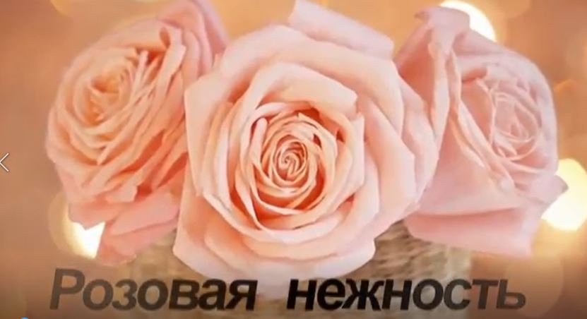 Розовая нежность.
