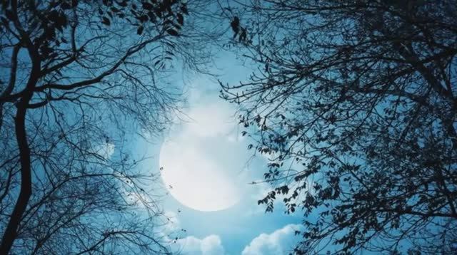 Ночь светла