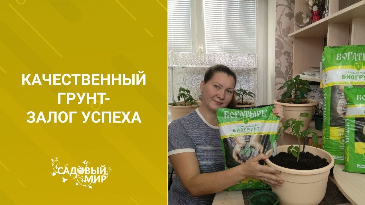 Качественный грунт для рассады - залог успеха будущего урожая