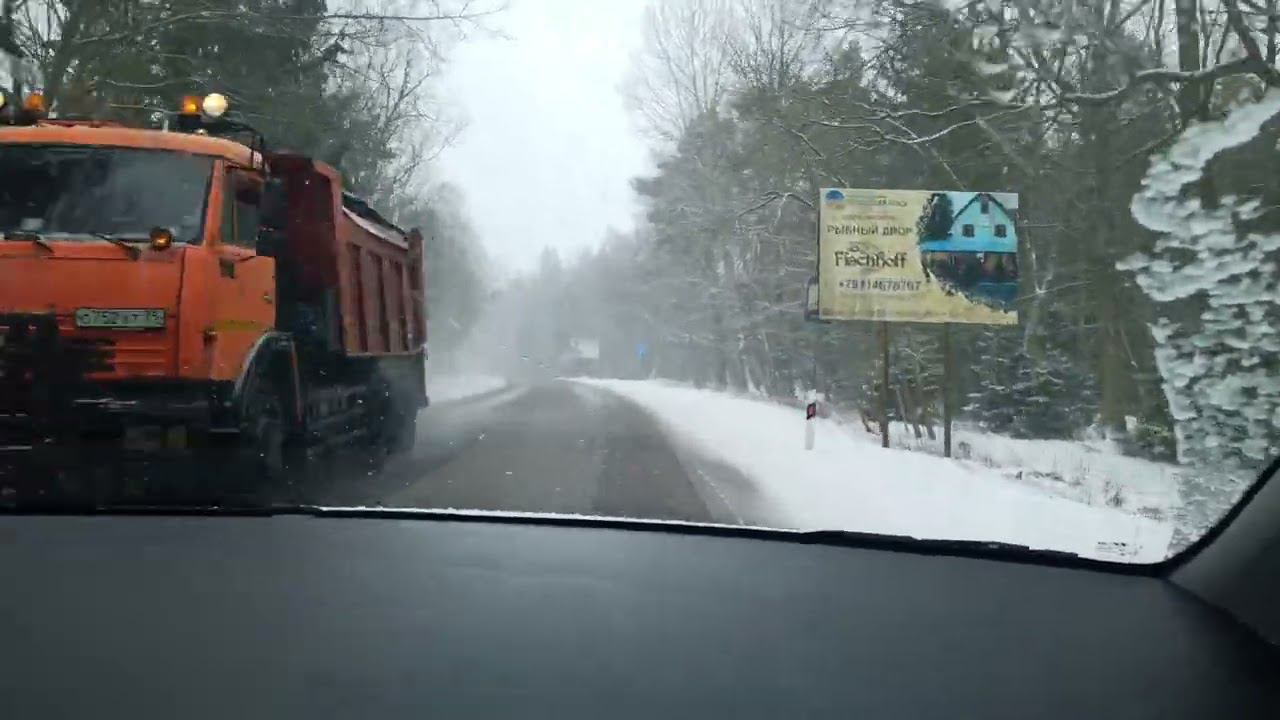 Куршская коса Дорога