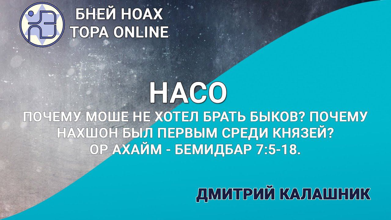 Почему Моше не хотел брать быков? Почему Нахшон был первым среди князей? Ор аХайм БМДБ 7:5-18. Насо