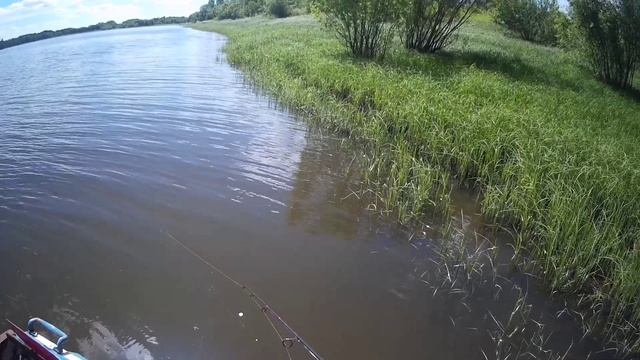 рыбалка на спиннинг