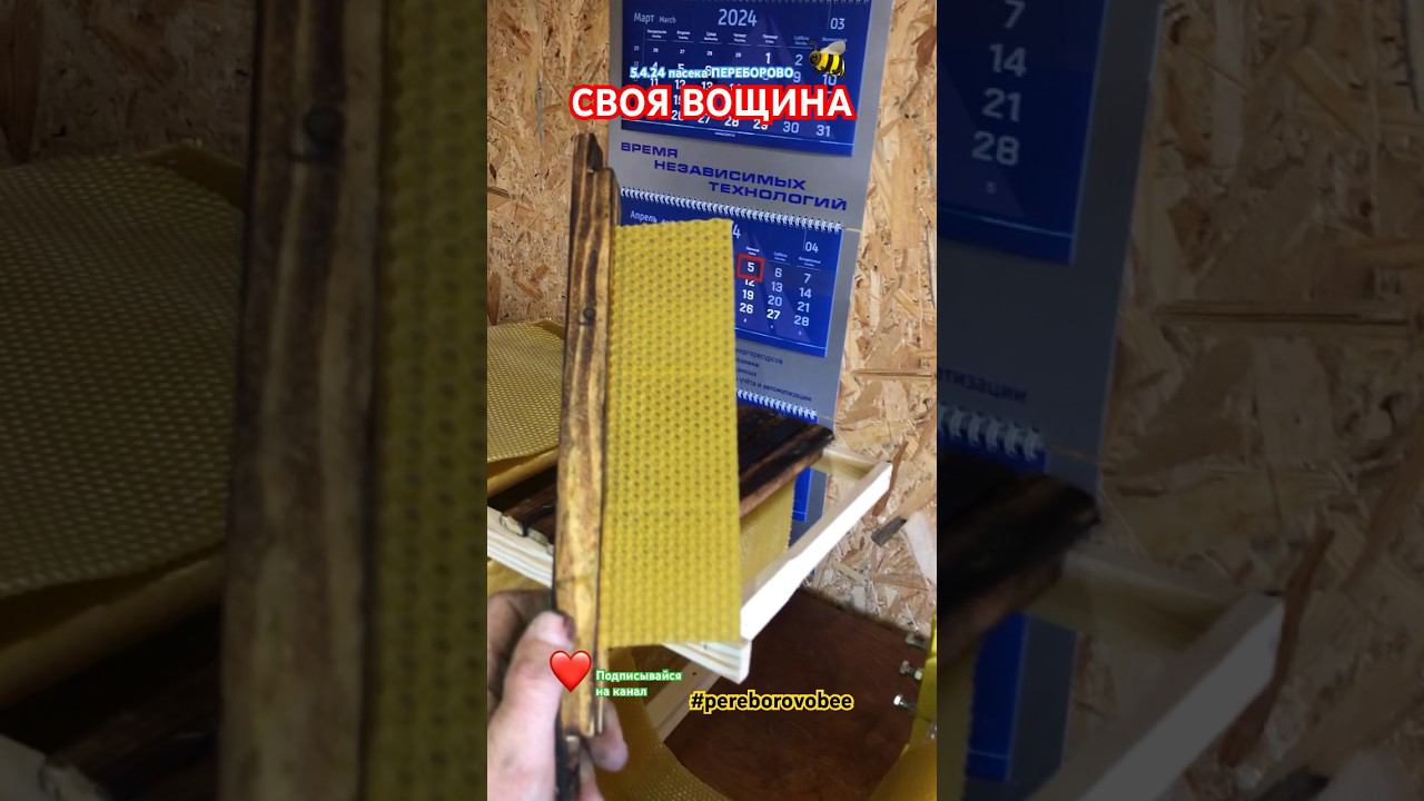 Своя ❤️ вощина! | ПЧЕЛОВОДСТВО! #pereborovobee #пасека #пчеловодство #улей #воск #матковод #пчеловод