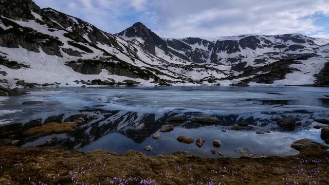 Emmylou Harris. Michelangelo