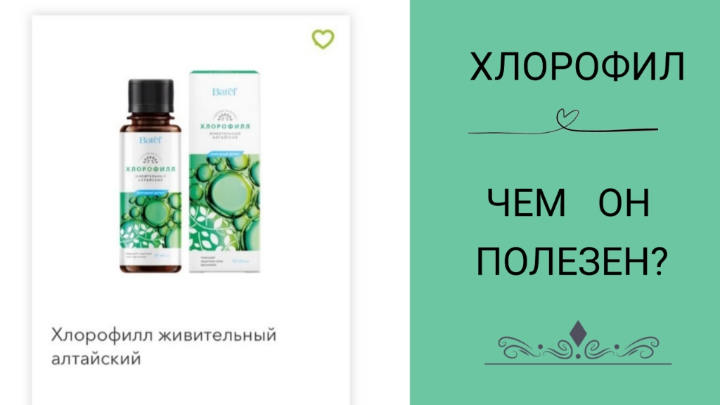 Хлорофилл | Для он нужен | В чем его польза