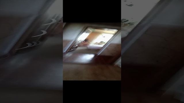 Приехал из лагеря